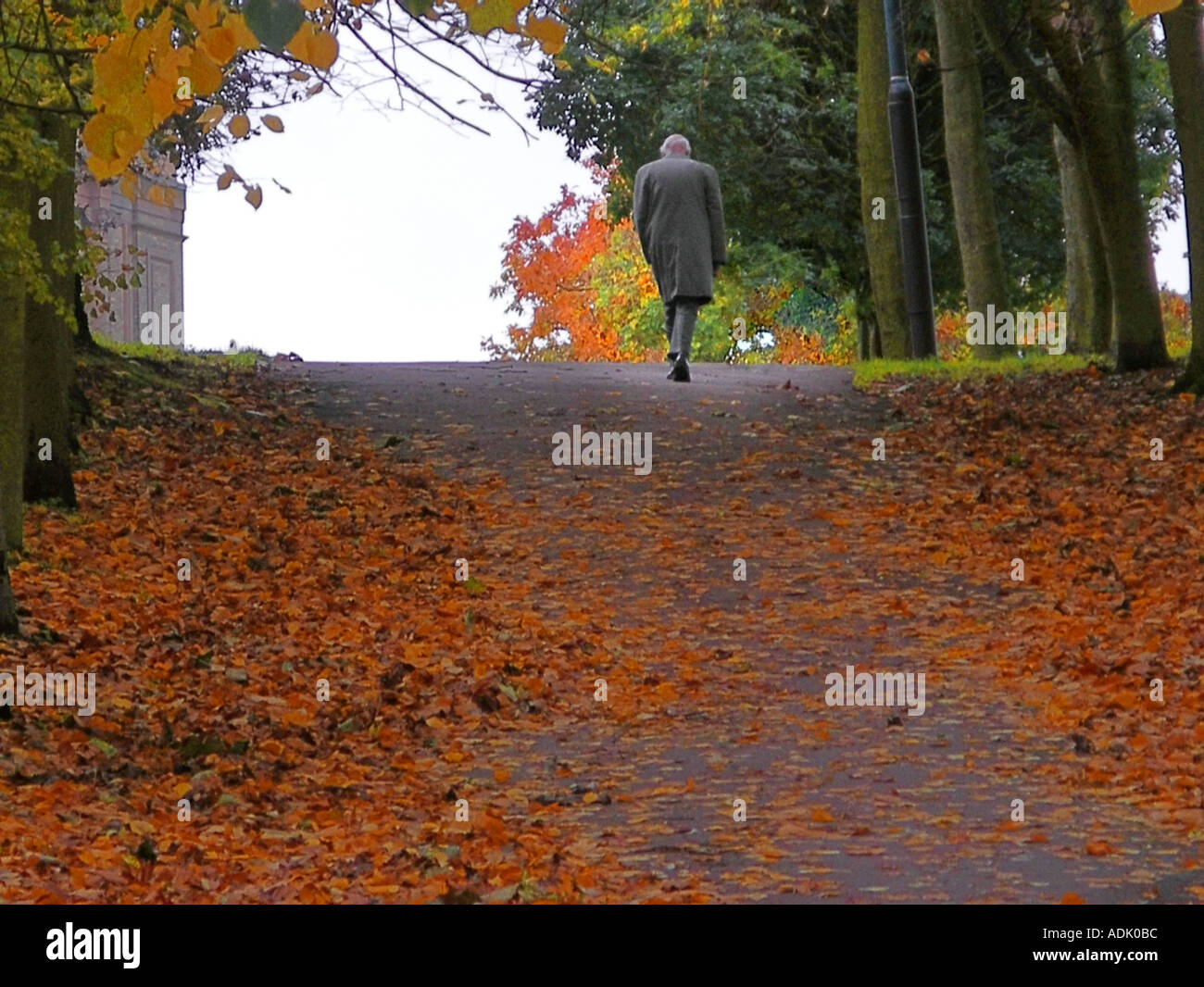 old man walking along path autumn Stock Photo - Alamy