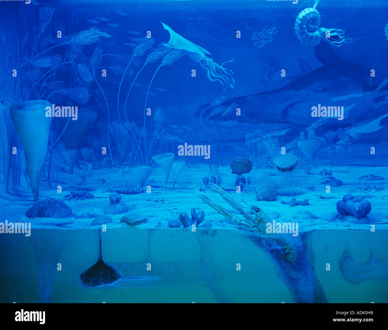 Chalk sea diorama Stock Photo - Alamy