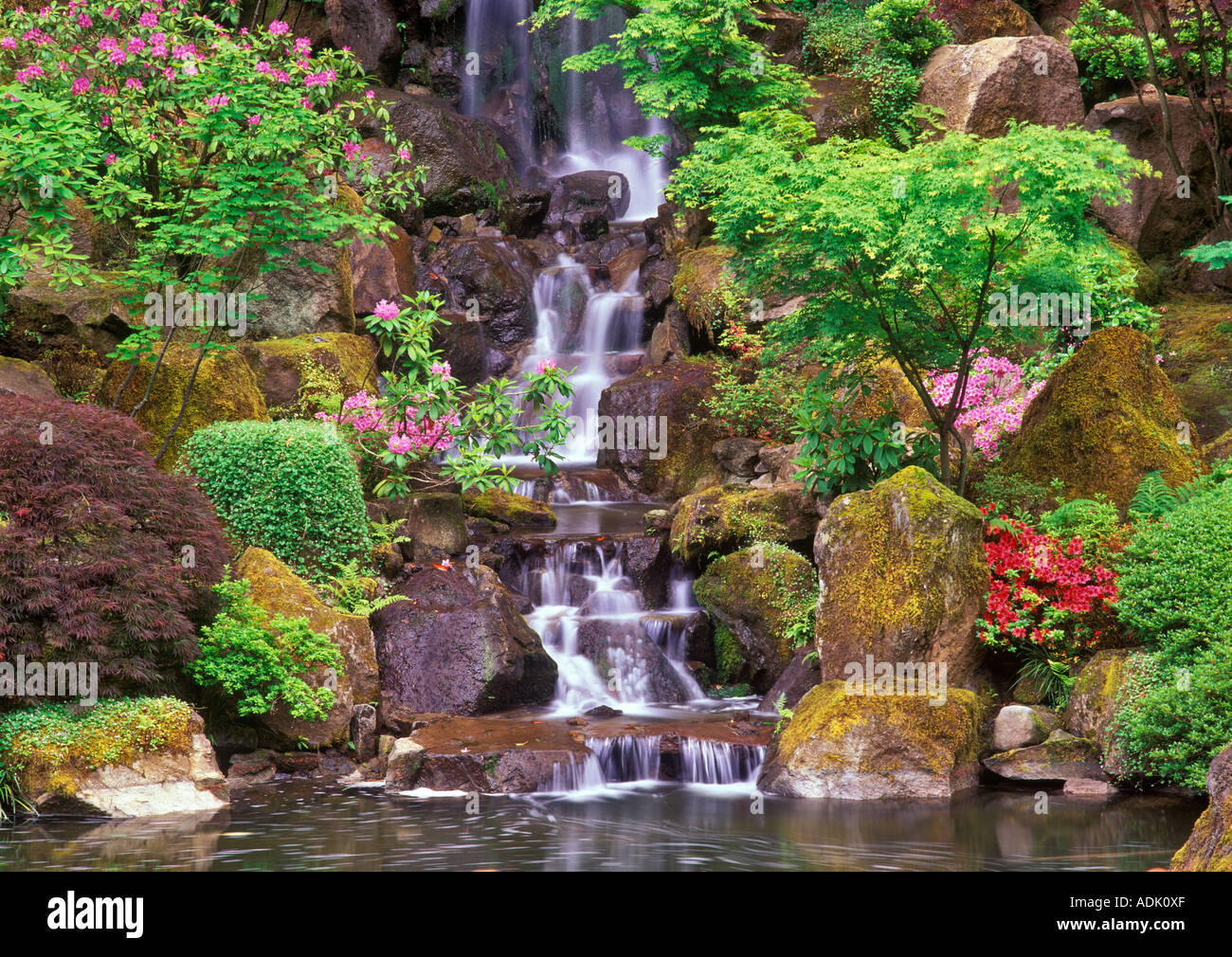 Waterfall with azaleas and rhododendrons Japanese Gardens Portland ...