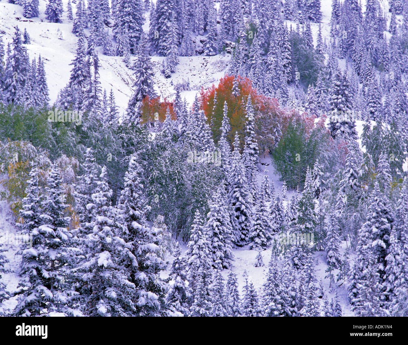 Fall forest and mountains hi-res stock photography and images - Alamy