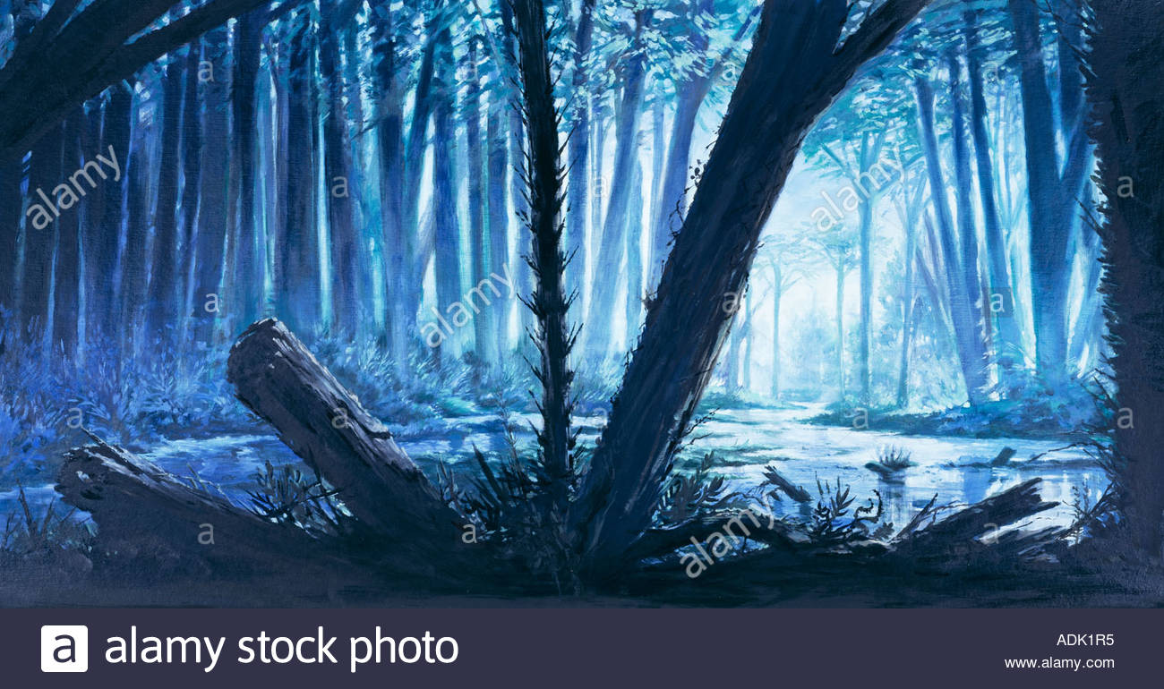 Carboniferous Swamp Stock Photos & Carboniferous Swamp Stock Images - Alamy
