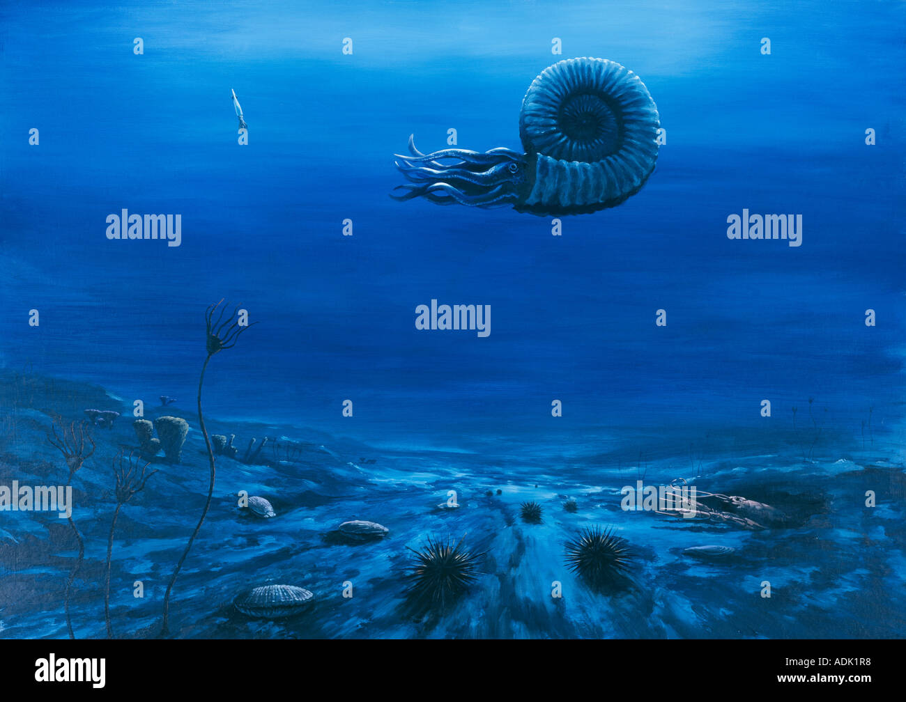 Cretaceous hi-res stock photography and images - Alamy