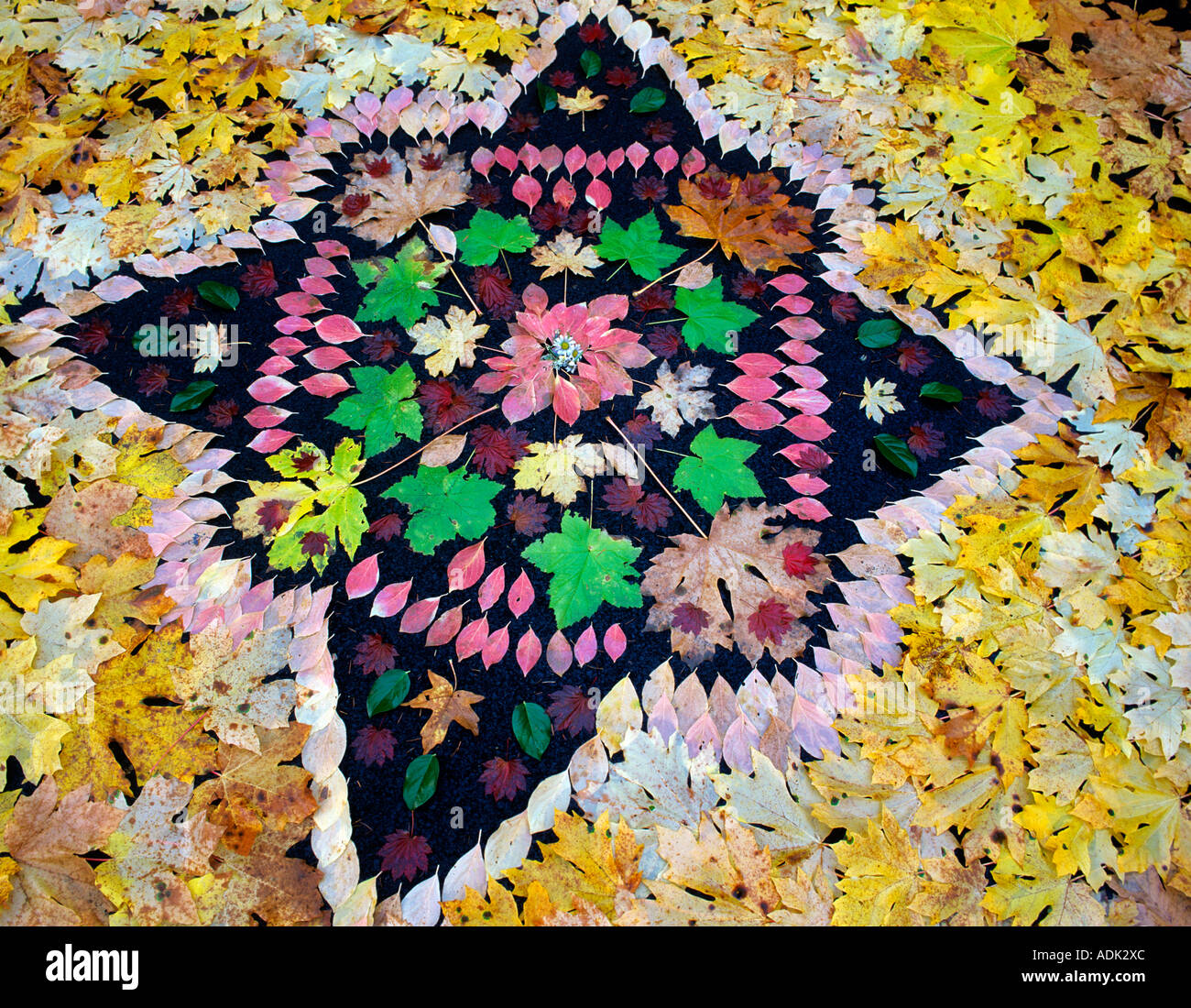 Quartzville hi-res stock photography and images - Alamy