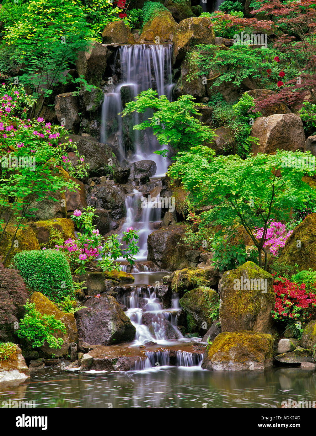 Waterfall with azaleas and rhododendrons Japanese Gardens Portland ...