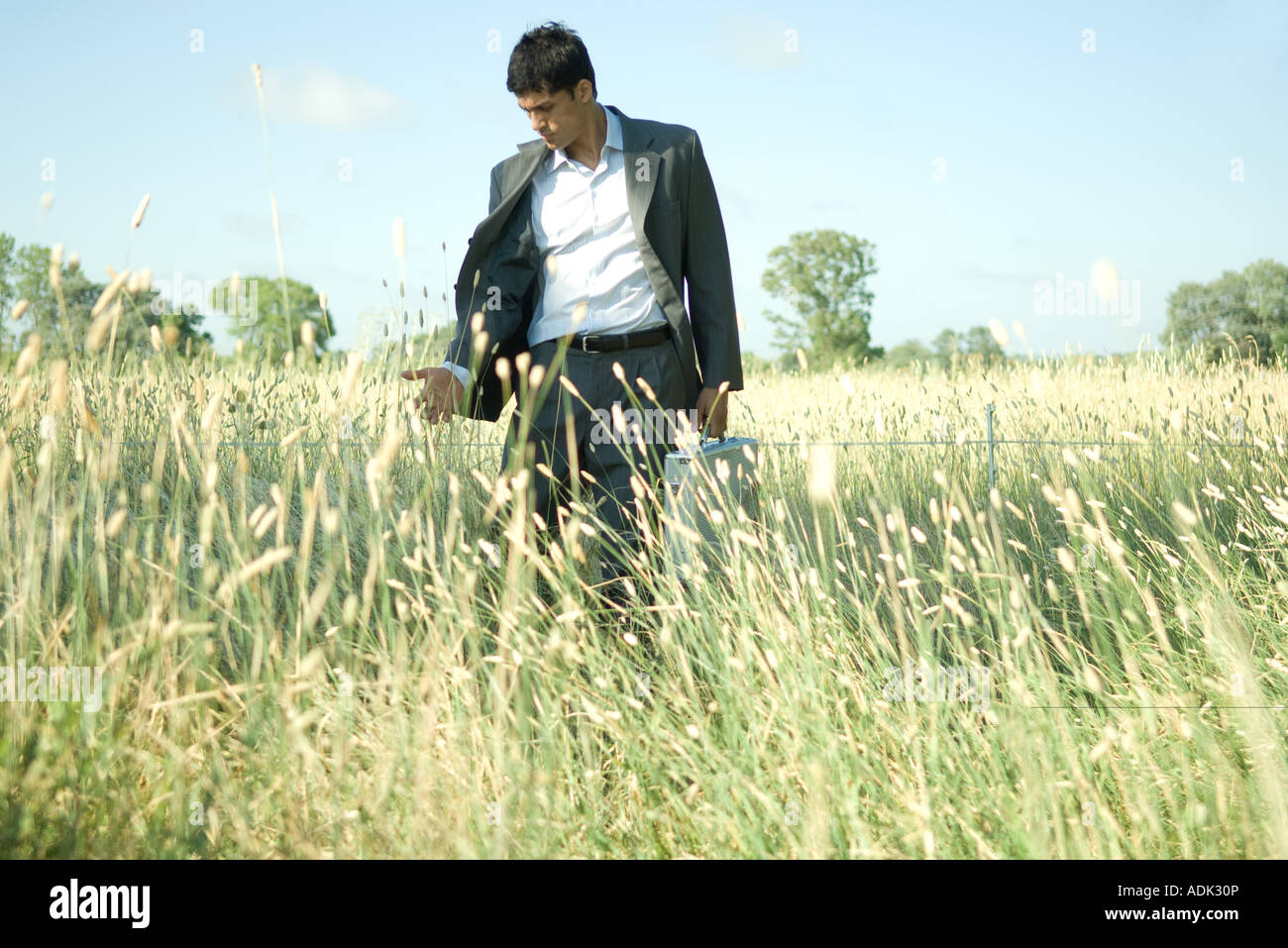 Man walking through field touching hi-res stock photography and images ...