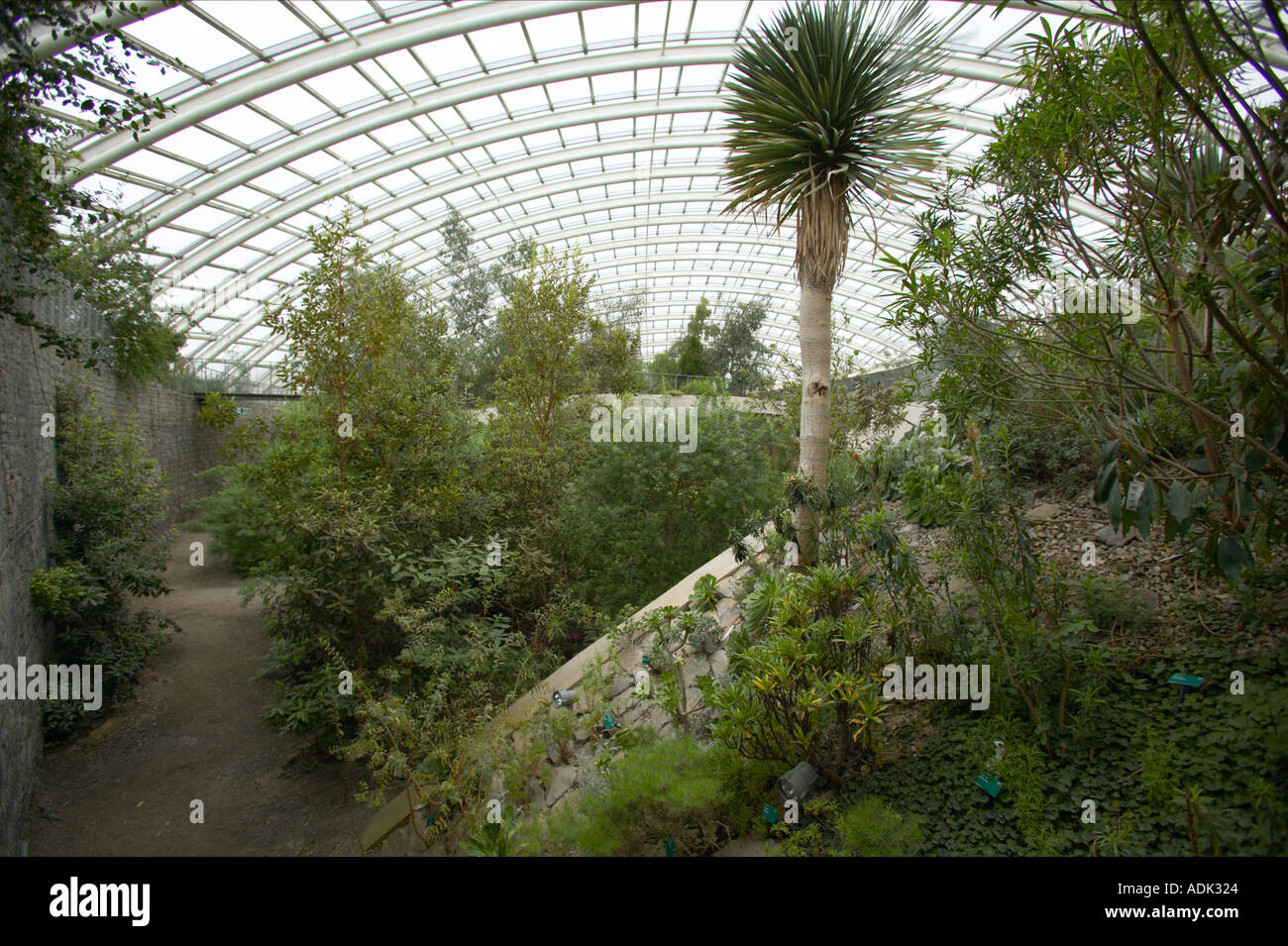 Mediterranean greenhouse at The Welsh Botanical Garden South Wales ...