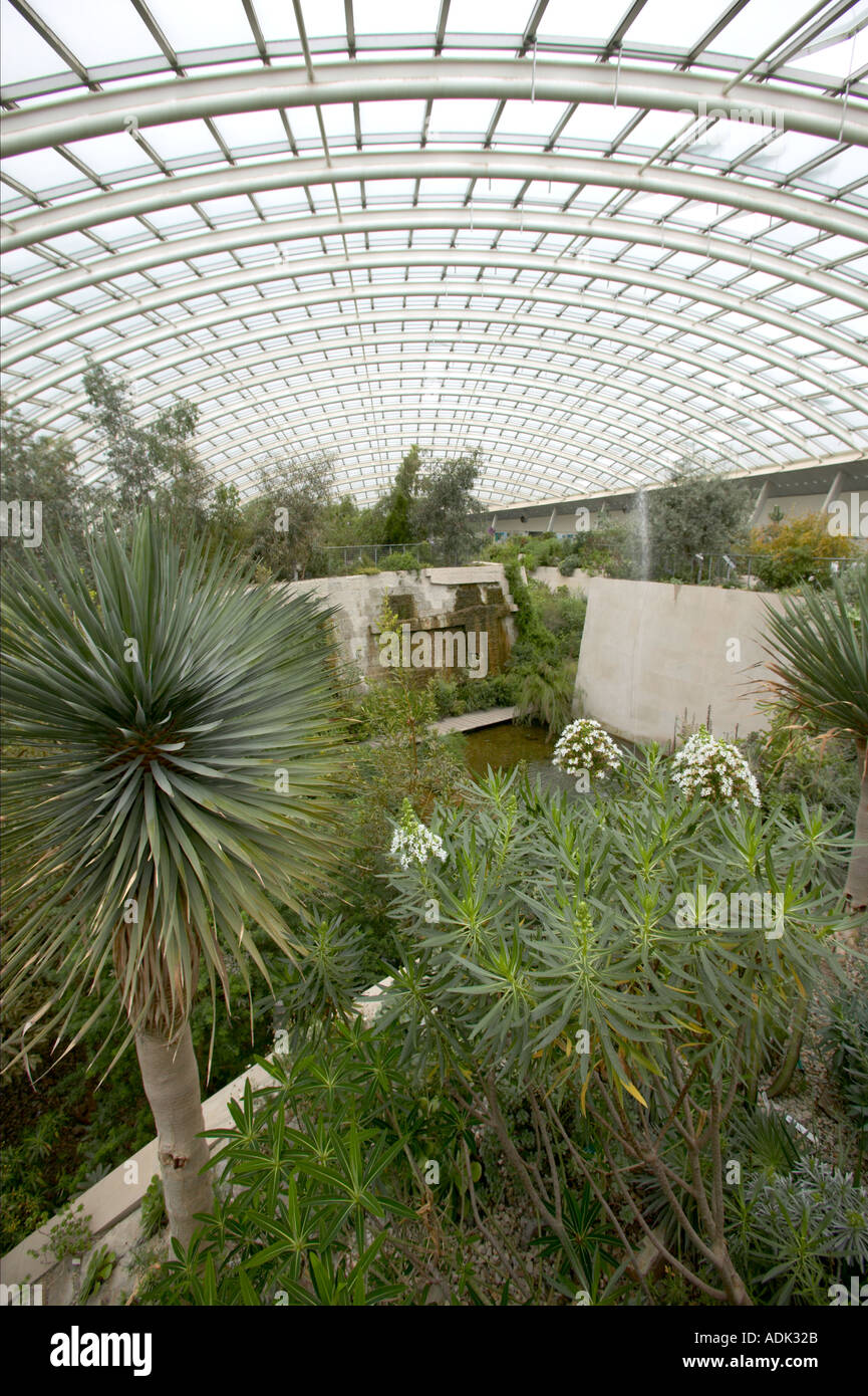 Mediterranean greenhouse at The Welsh Botanical Garden South Wales ...