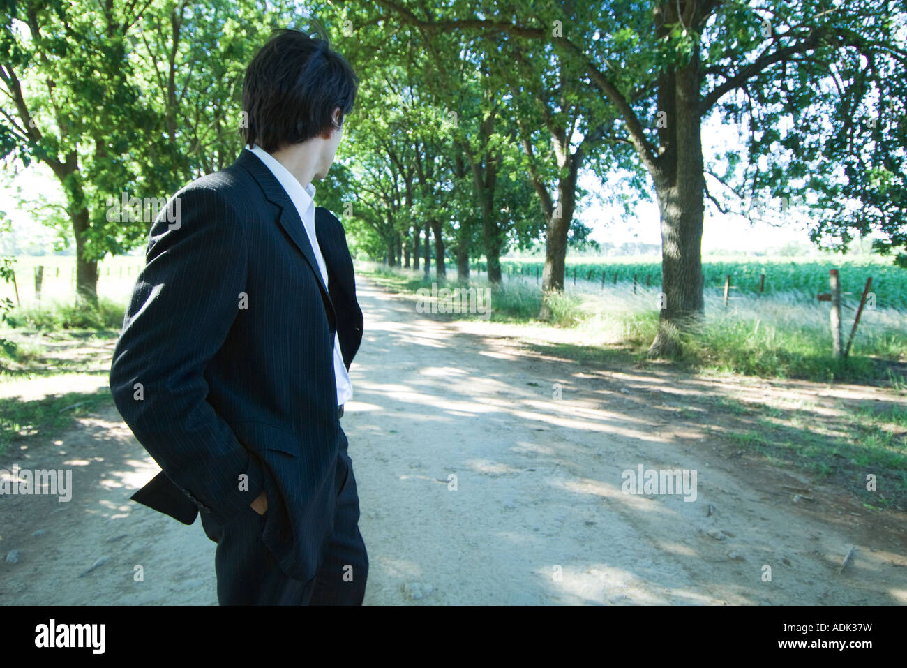 Businessman walking on rural road, looking over shoulder Stock Photo ...