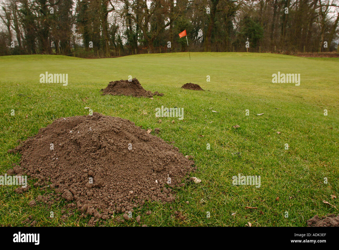Damage to golf course hi-res stock photography and images - Alamy