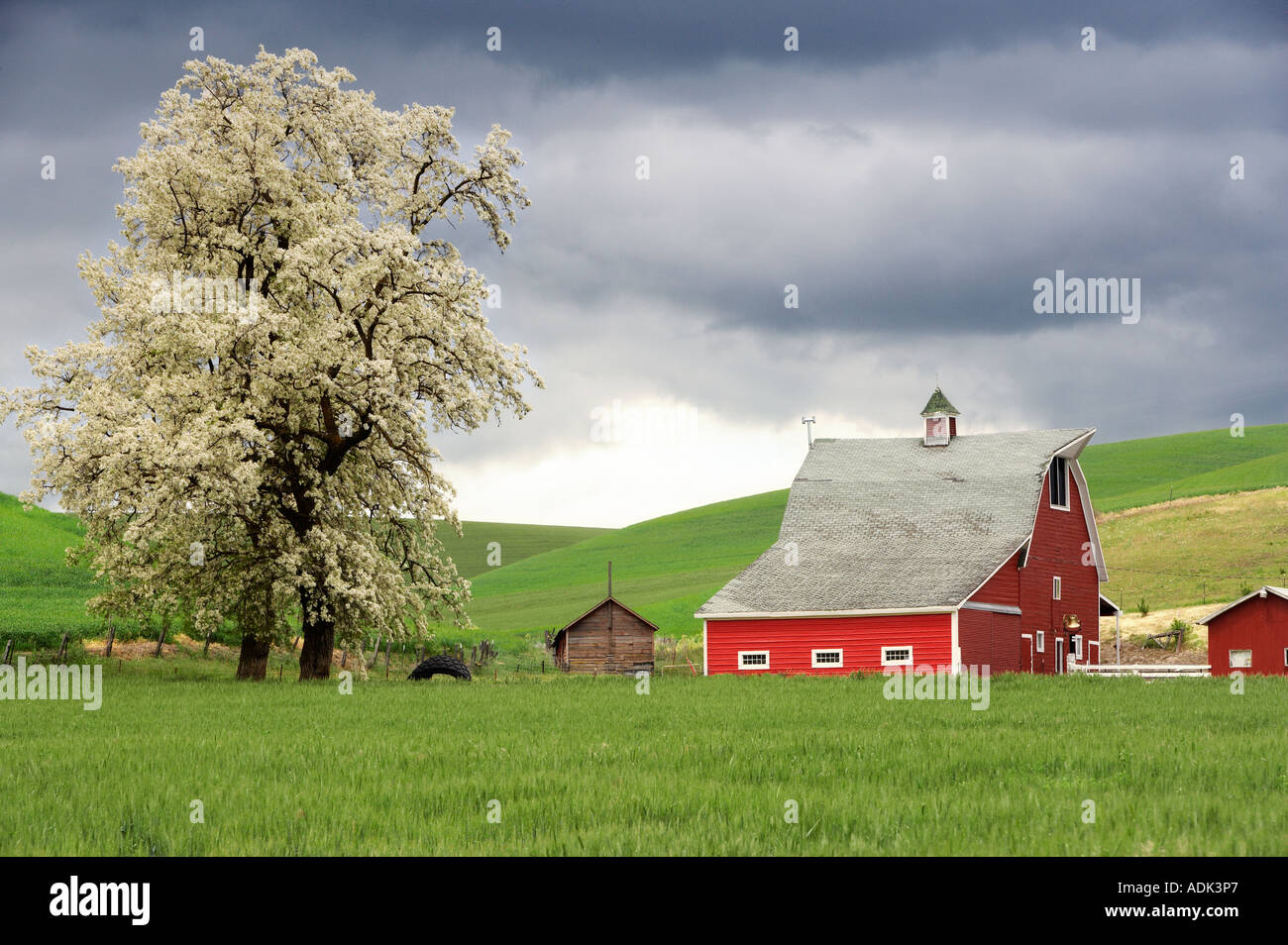 Red barn palouse near colfax hi-res stock photography and images - Alamy