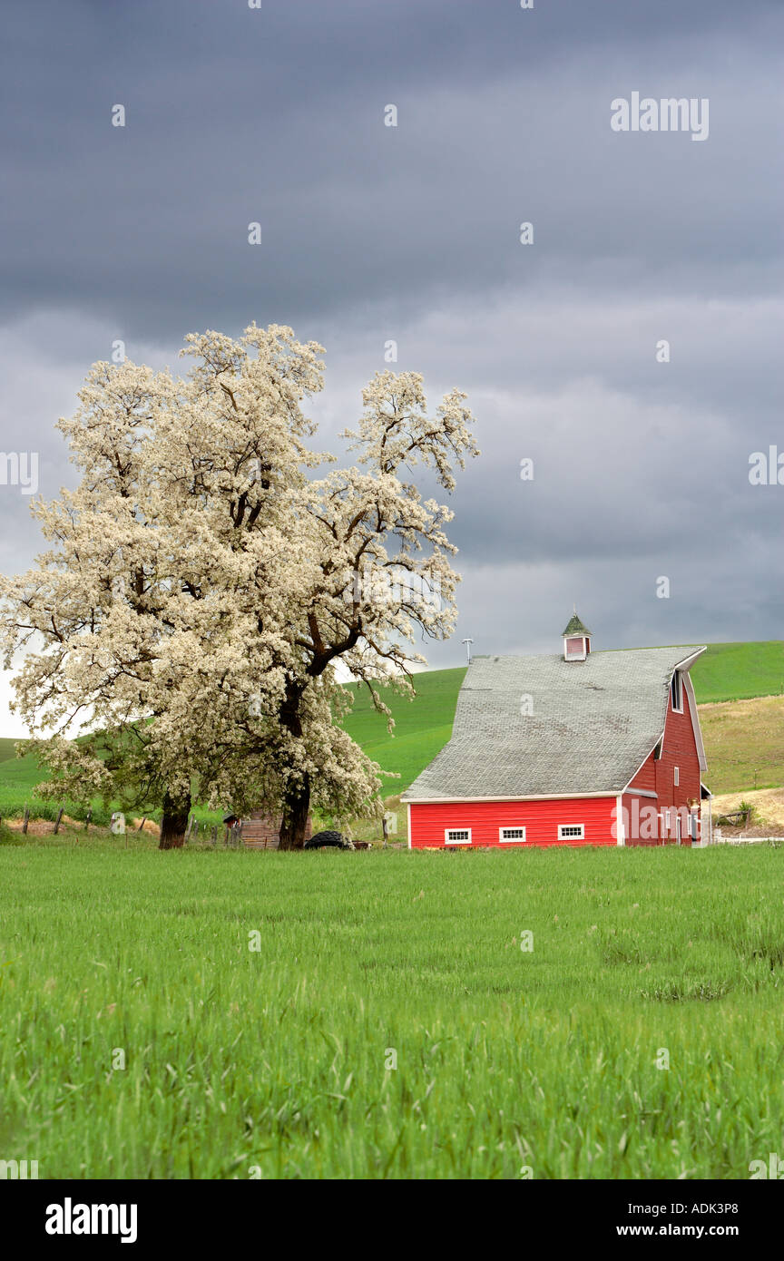 Red barn palouse near colfax hi-res stock photography and images - Alamy