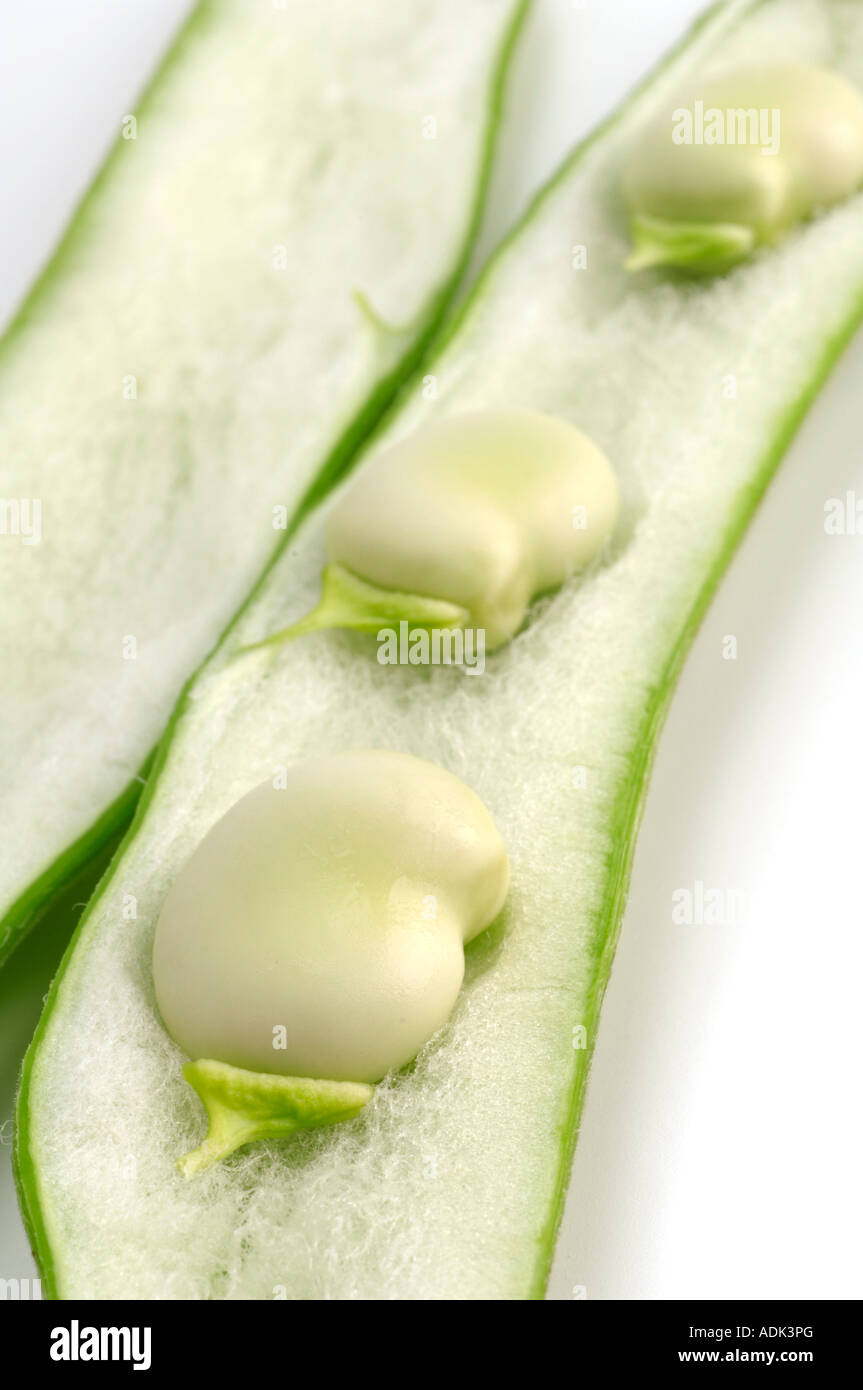 Broad, or Fava, Bean split open Stock Photo - Alamy