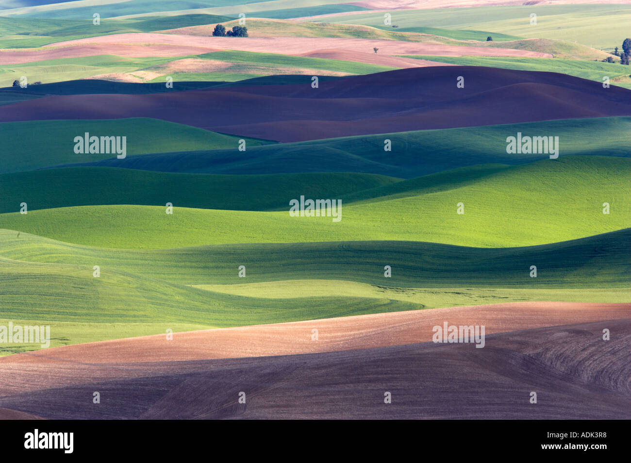 Rolling hill patterns with sun peaking through clouds The Palouse near ...