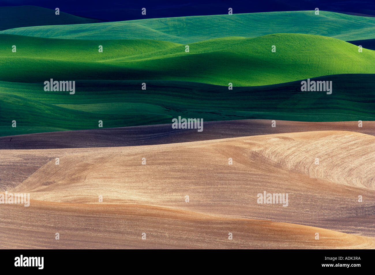 Rolling hill patterns with sun peaking through clouds The Palouse near ...
