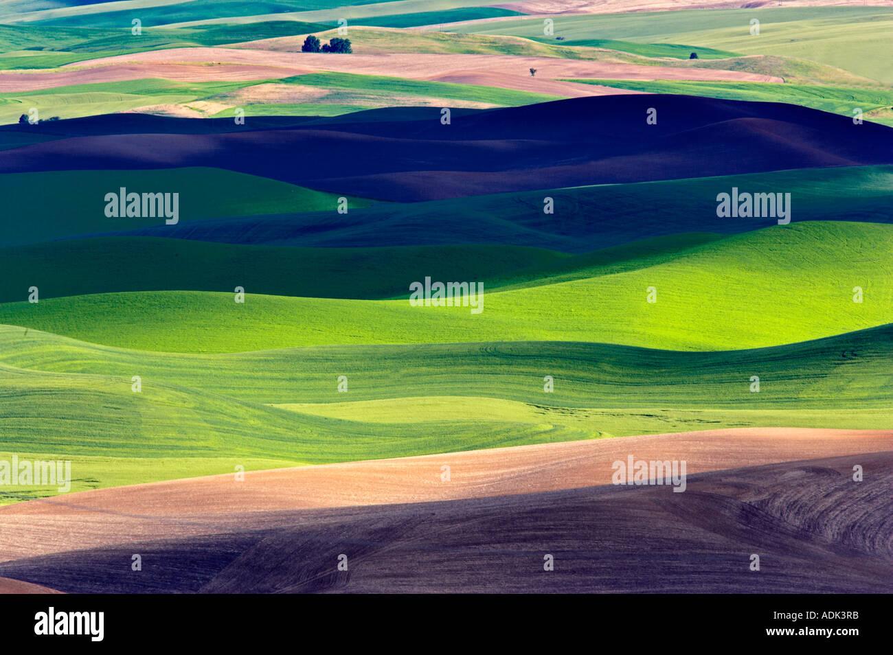 Rolling hill patterns with sun peaking through clouds The Palouse near ...