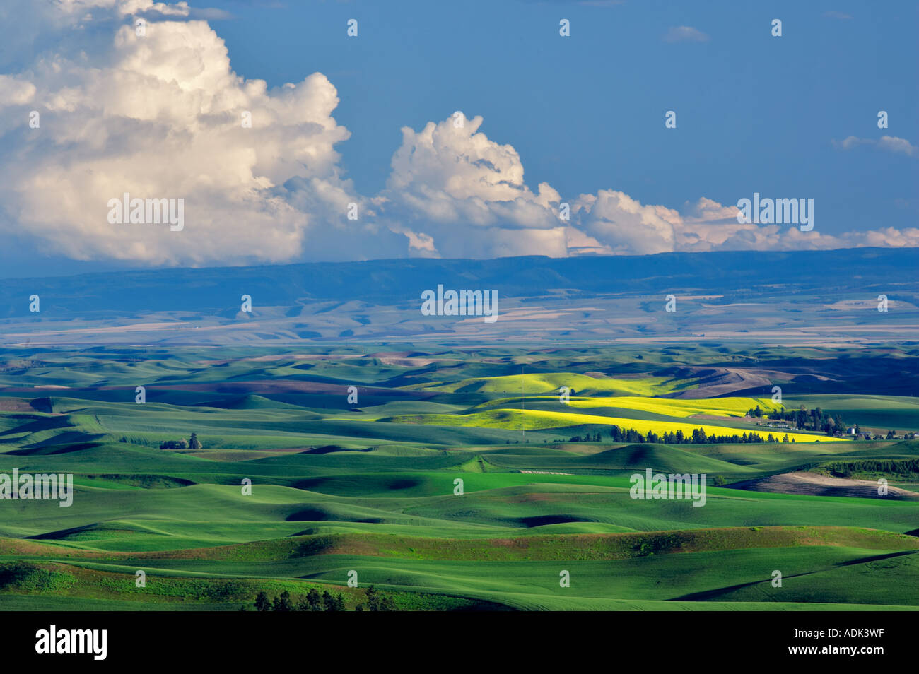 Palouse harvest time hi-res stock photography and images - Alamy