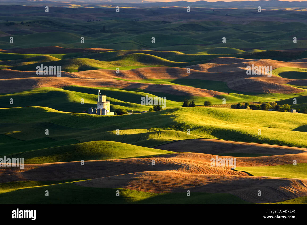 Farmland in spring with grain silo The Palouse Washington Stock Photo ...