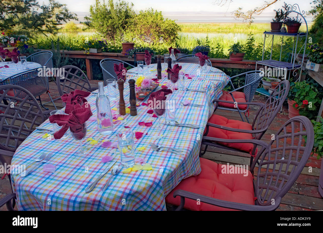 Set dinner table rose petals hi-res stock photography and images - Alamy
