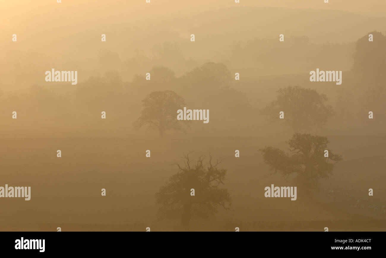 A Spring dawn over Worcestershire countyside Stock Photo - Alamy