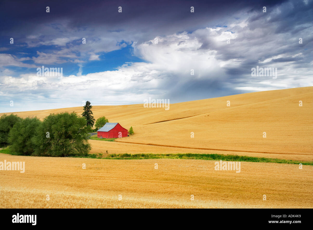 Wheat field and barn The Palouse Washington Stock Photo - Alamy