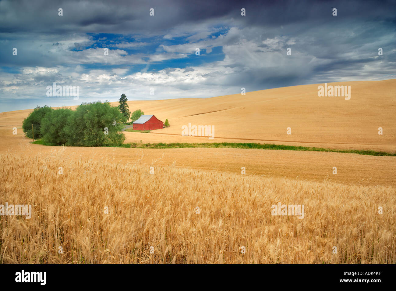 Wheat field and barn The Palouse Washington Stock Photo - Alamy