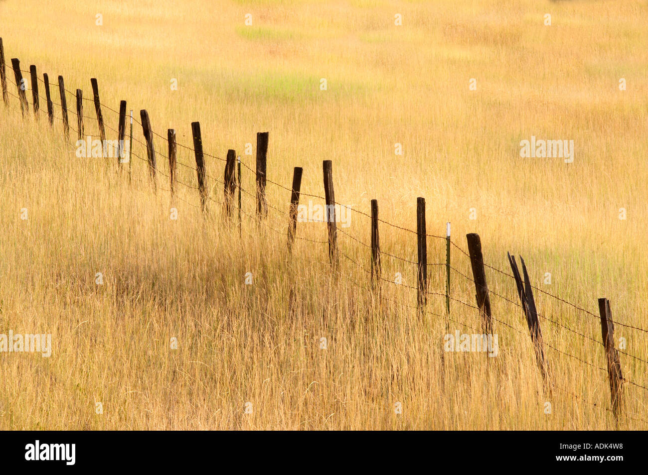 Fence line in pasture Near Halfway Oregon Stock Photo - Alamy