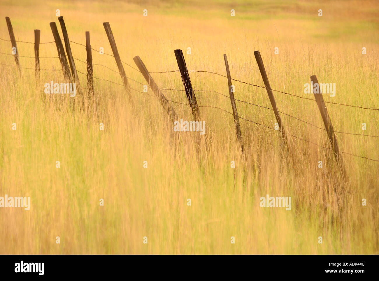 Fence line in pasture Near Halfway Oregon Stock Photo - Alamy