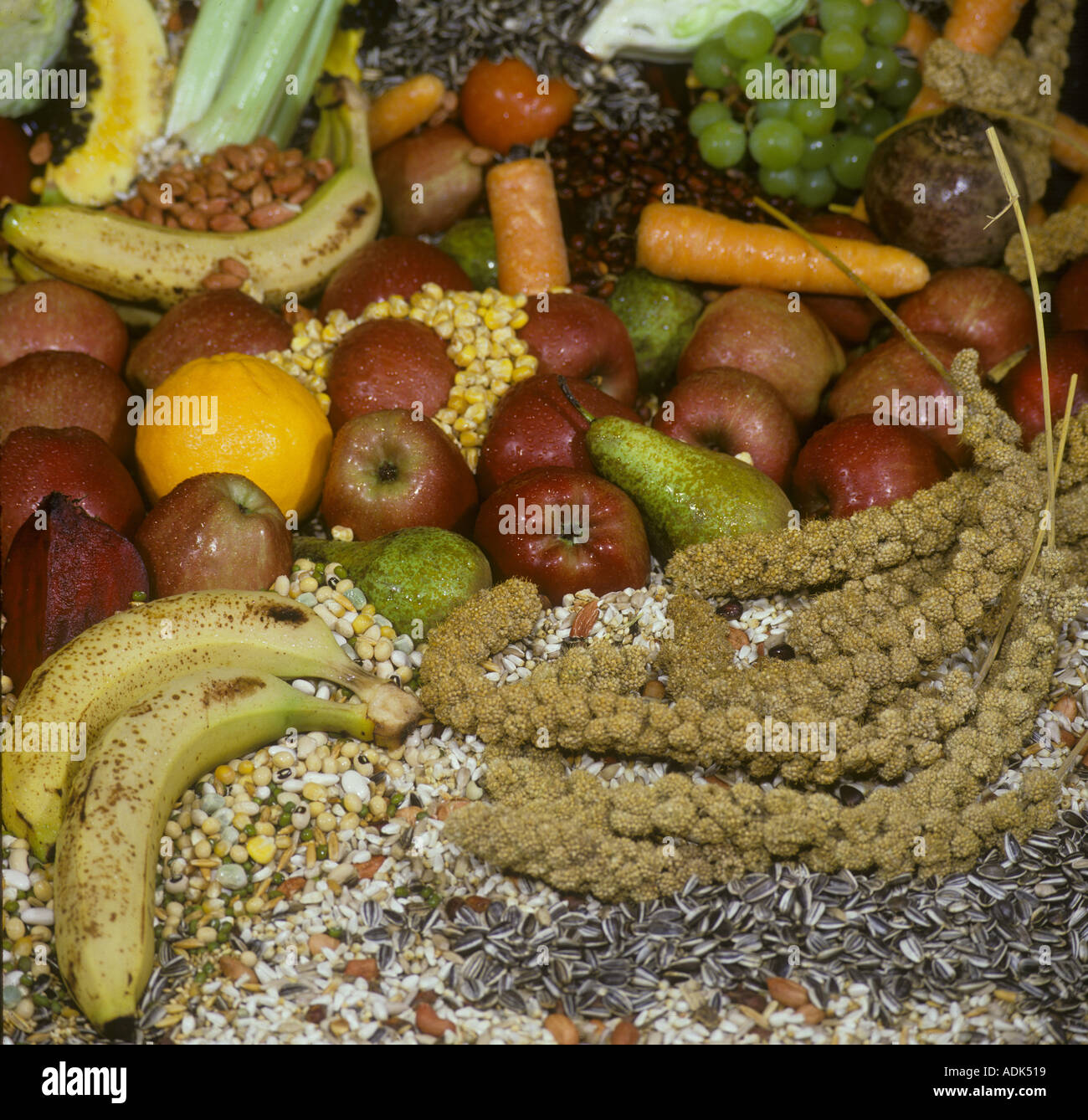 Conservation Zoo close up of different types of Caged Bird food Horn of ...