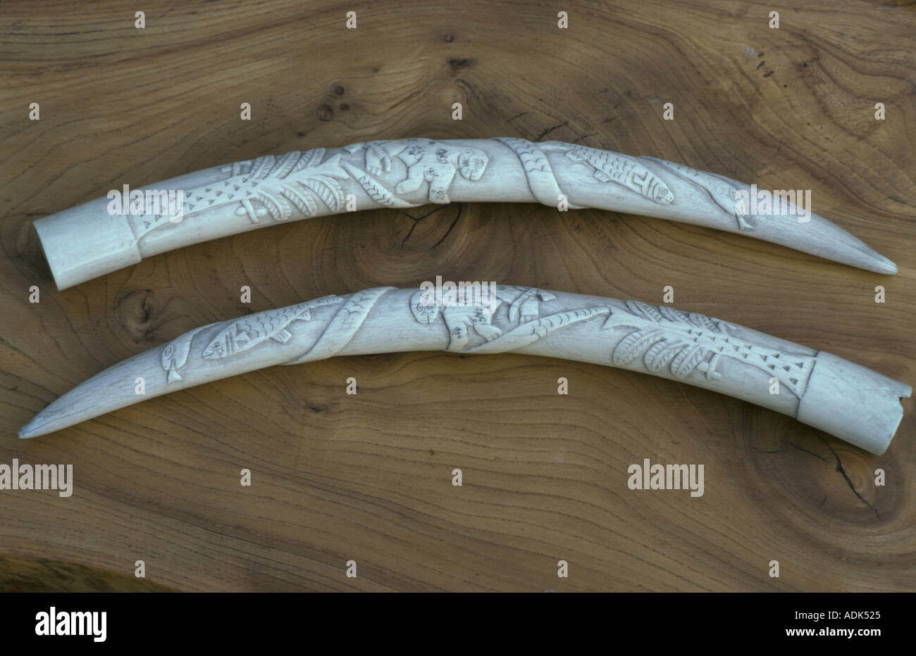 Carved ivory elephant hi-res stock photography and images - Alamy