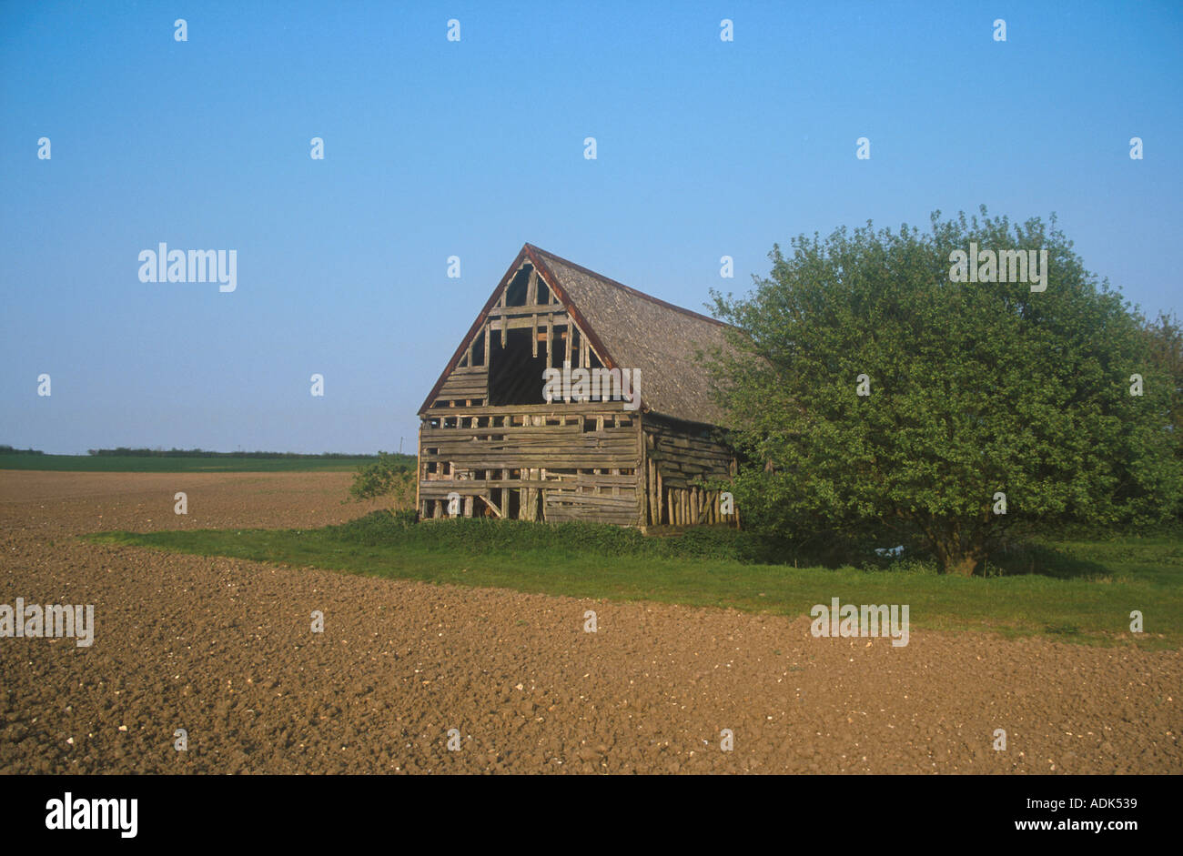 Farming Buildings Old Suffolk barn home to many wild animals Stock ...