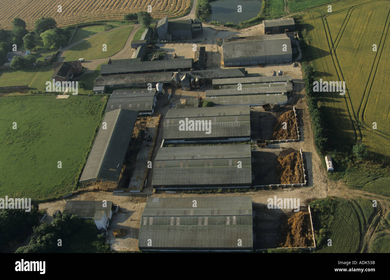 Farming Buildings Farm buildings used for livestock Suffolk Stock Photo ...