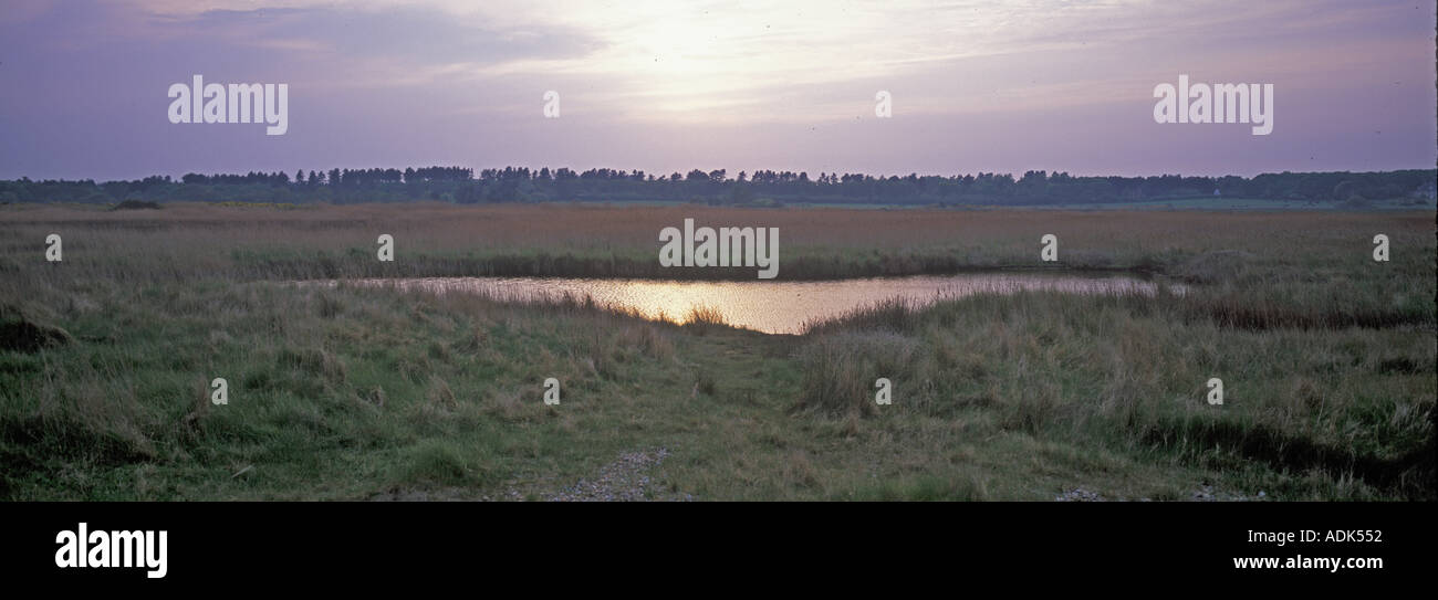 Dingle Marsh High Resolution Stock Photography and Images - Alamy