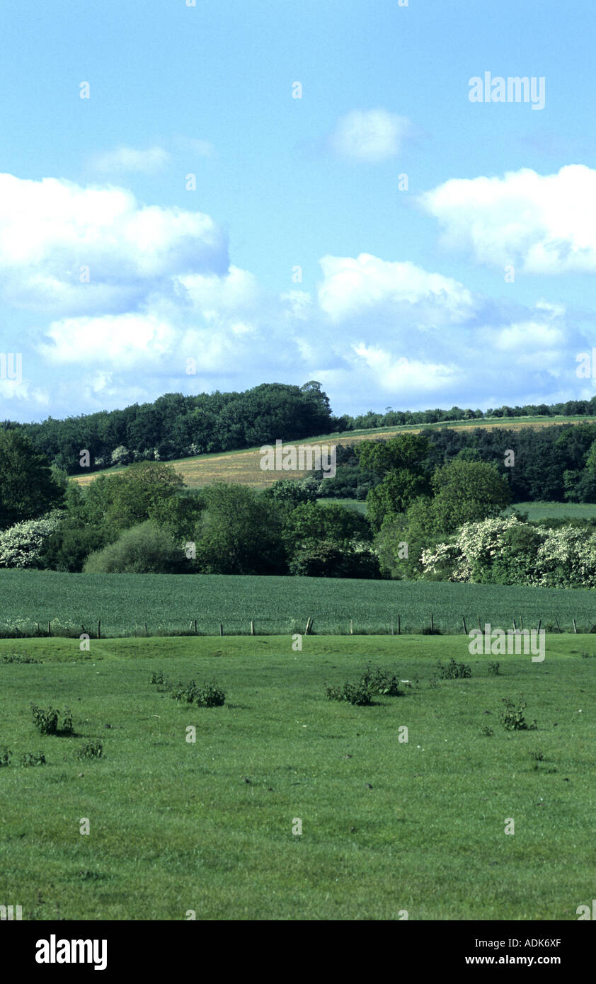 Battle of edgcote hi-res stock photography and images - Alamy