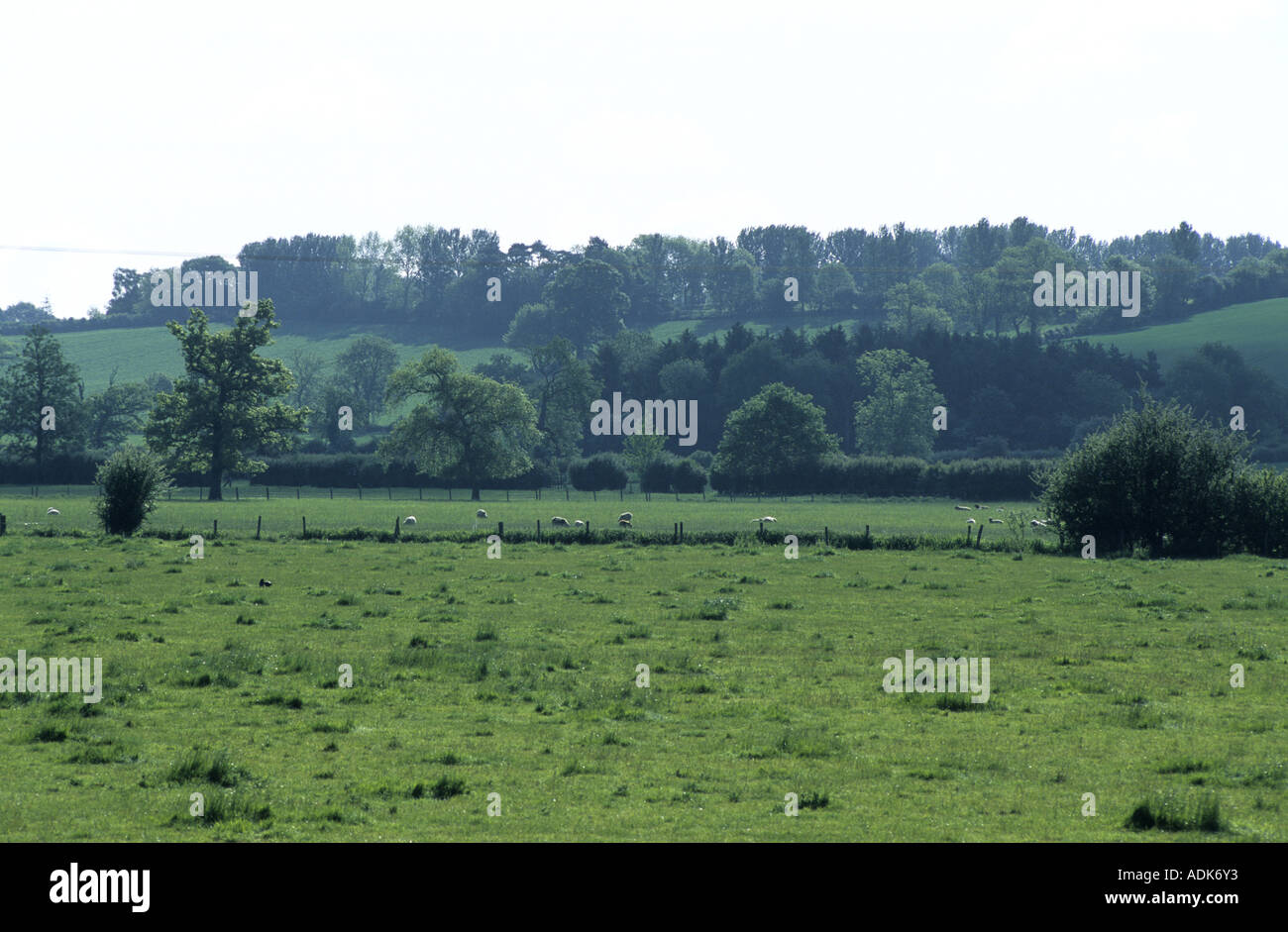 Cropredy Bridge battlefield site, Oxfordshire, England, UK Stock Photo ...