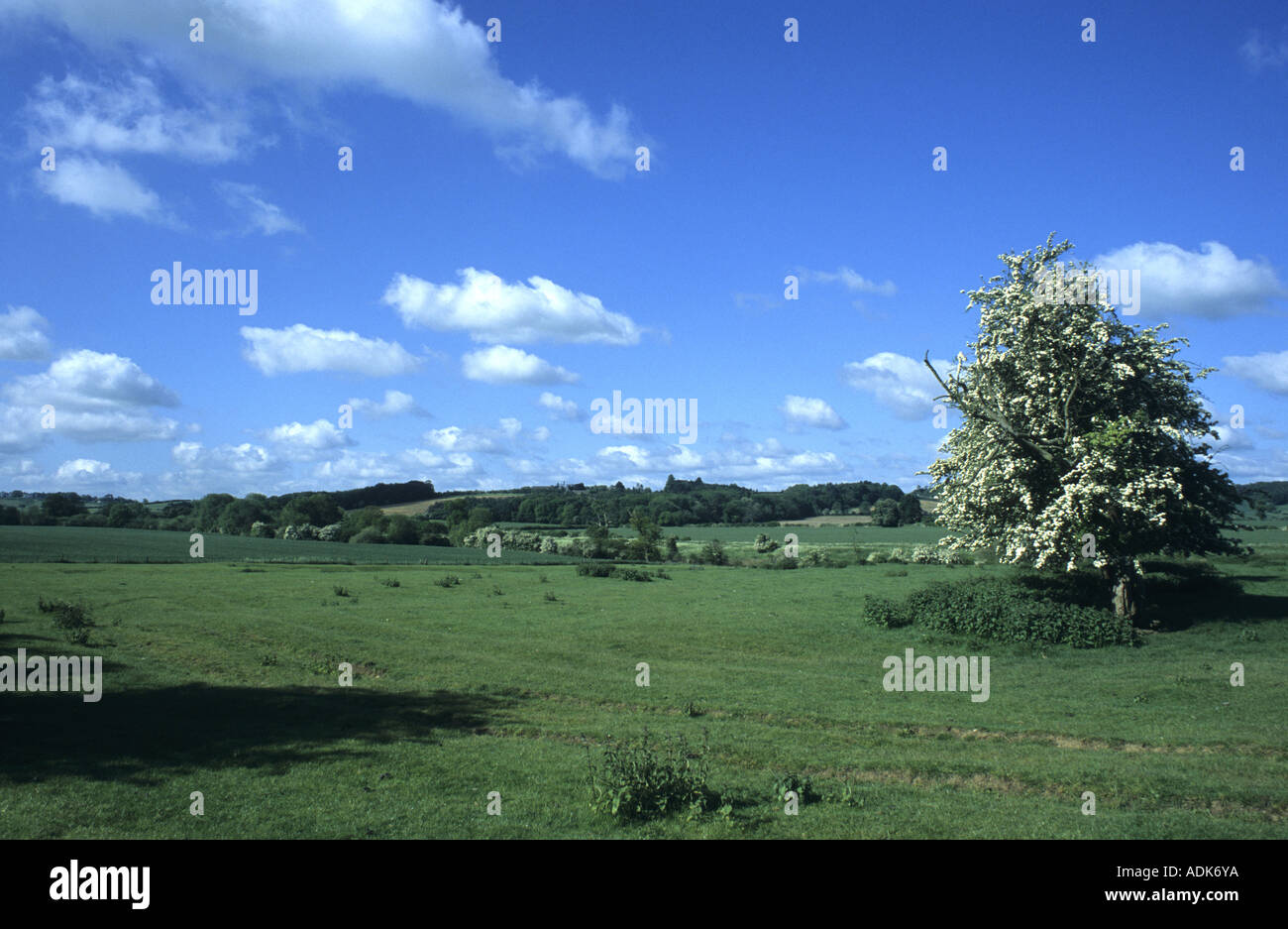 Battle of Edgcote site, Oxfordshire, England, UK Stock Photo - Alamy