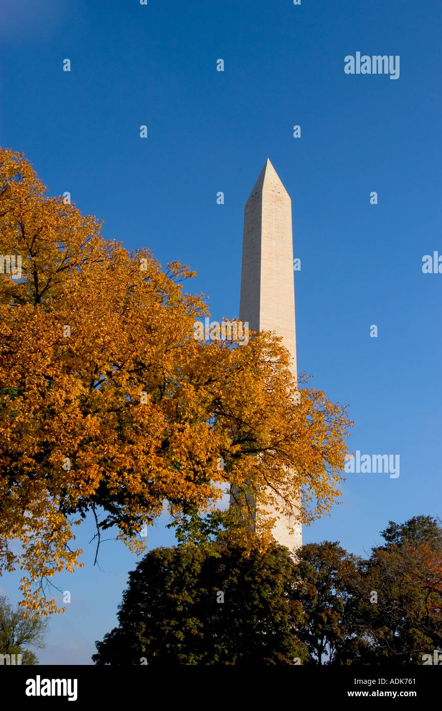 Washington dc fall foliage hi-res stock photography and images - Alamy