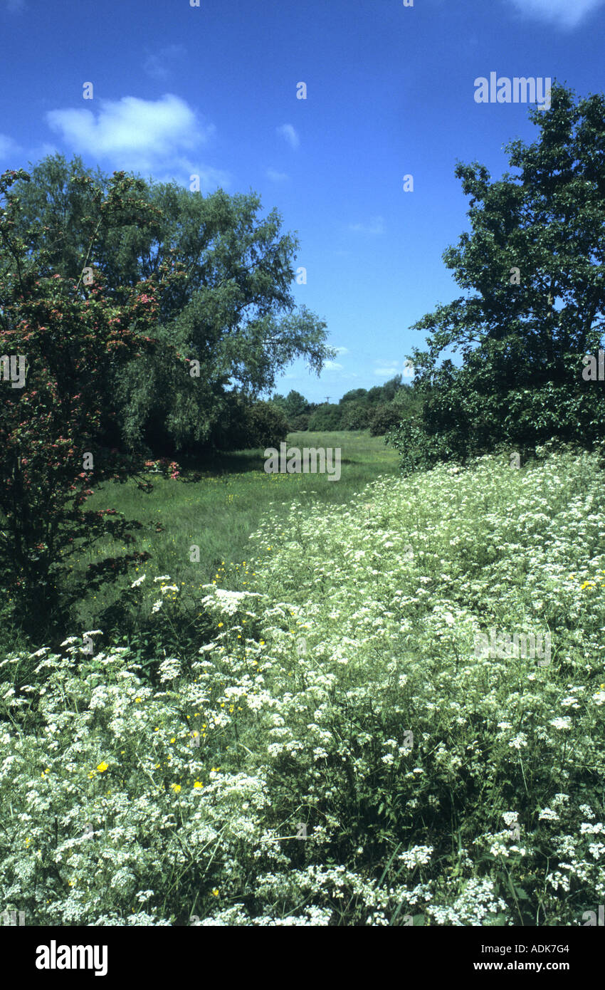 The Bloody Meadow at Battle of Tewkesbury battlefield site ...