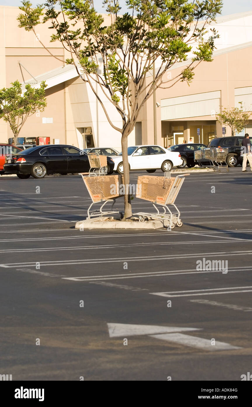 Shopping carts parked under a tree at a local shopping area Stock Photo ...