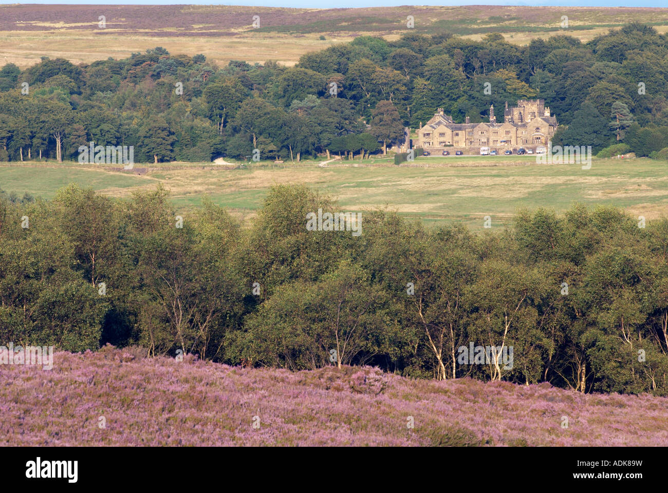 Trees in longshaw estate in hi-res stock photography and images - Alamy