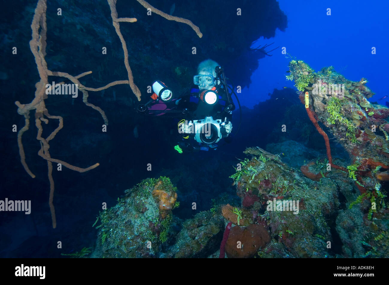 Female underwater photographer on a reef in LIttle Cayman Stock Photo ...