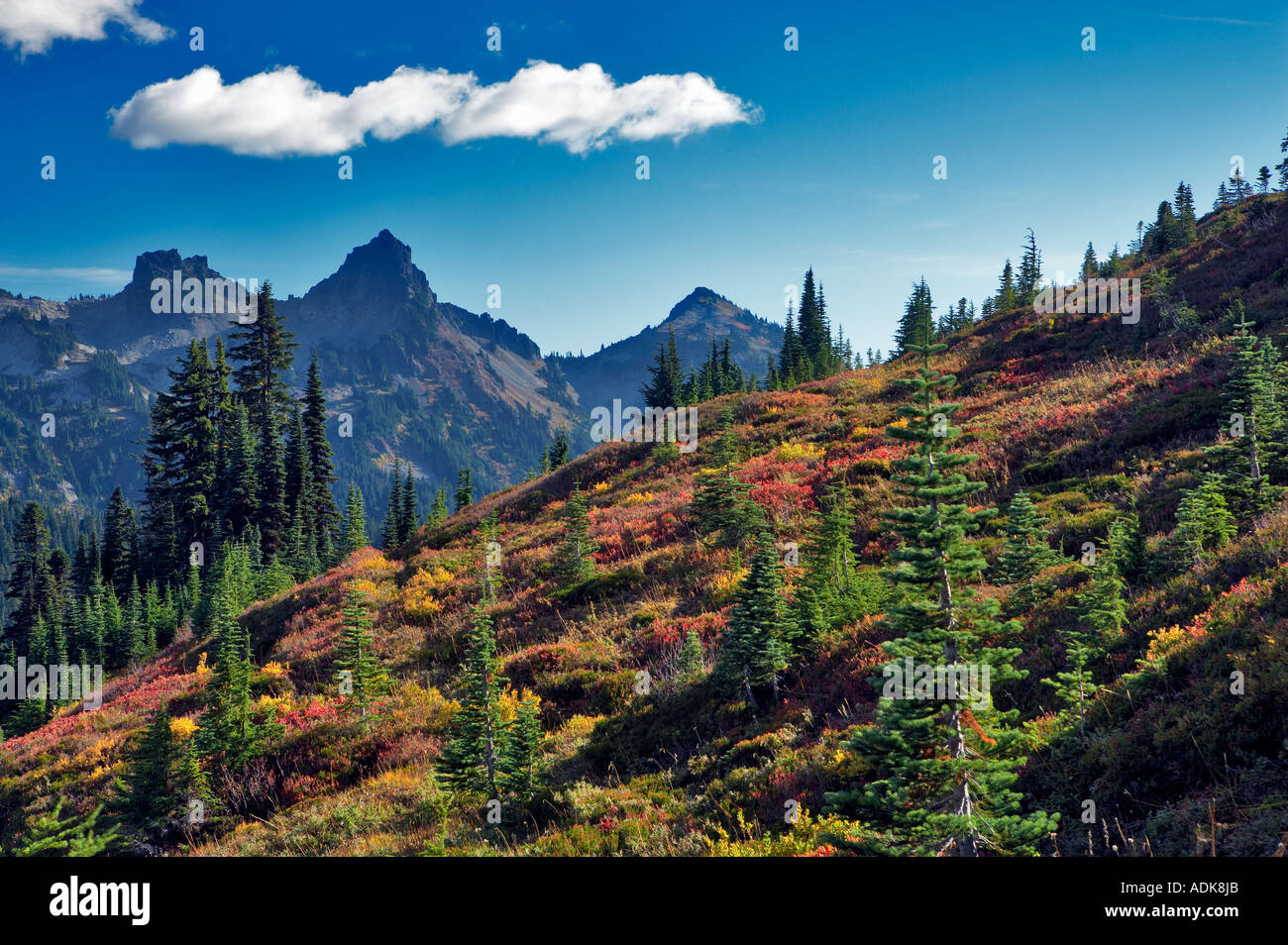 Tatoosh range from mt rainier hi-res stock photography and images - Alamy