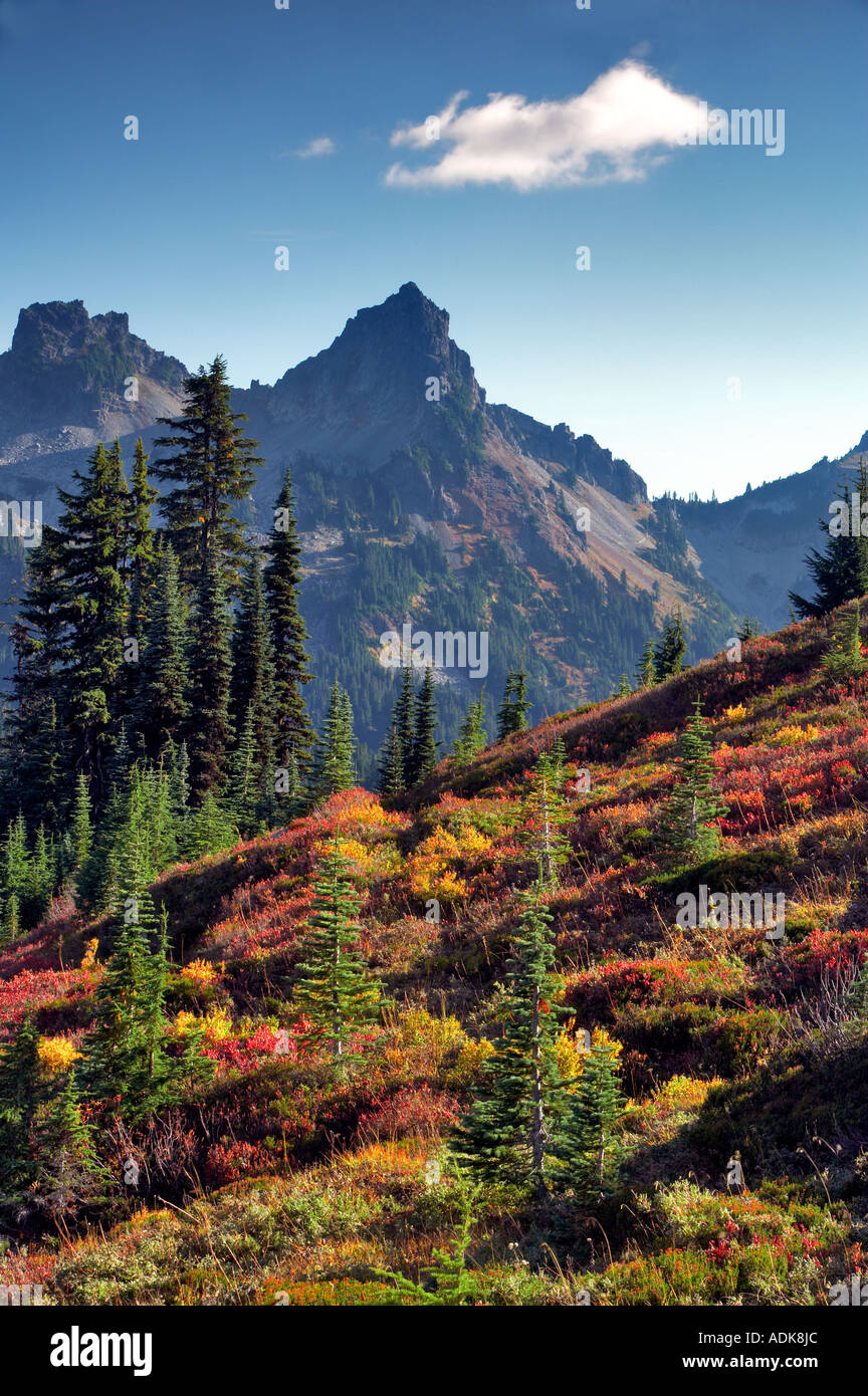 Tatoosh range from mt rainier hi-res stock photography and images - Alamy