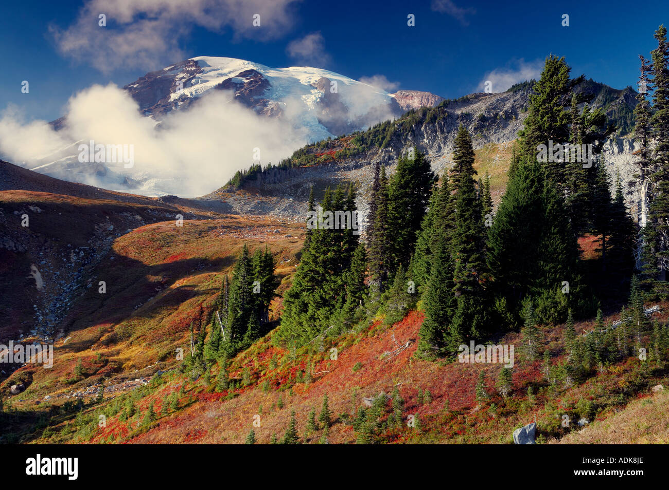 Mt Rainier with fall color and clouds Mt Rainier National Park ...