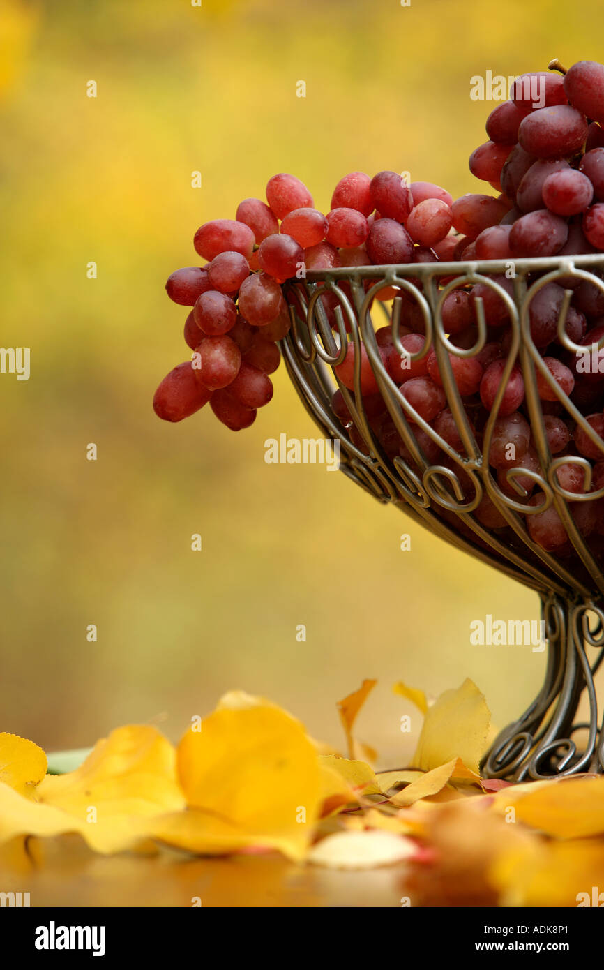 Red emperor grapes fruit hi-res stock photography and images - Alamy