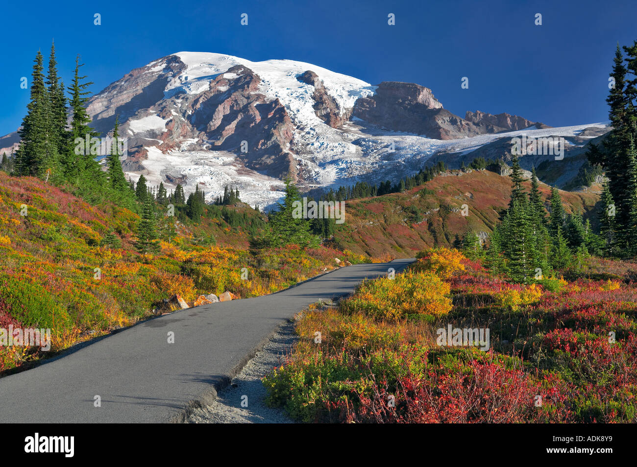 Fall color and sunrise with path in Mt Rainier National Park Washington ...