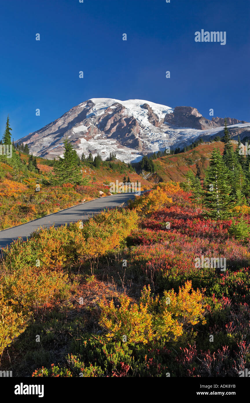 Fall color and sunrise with path in Mt Rainier National Park Washington ...