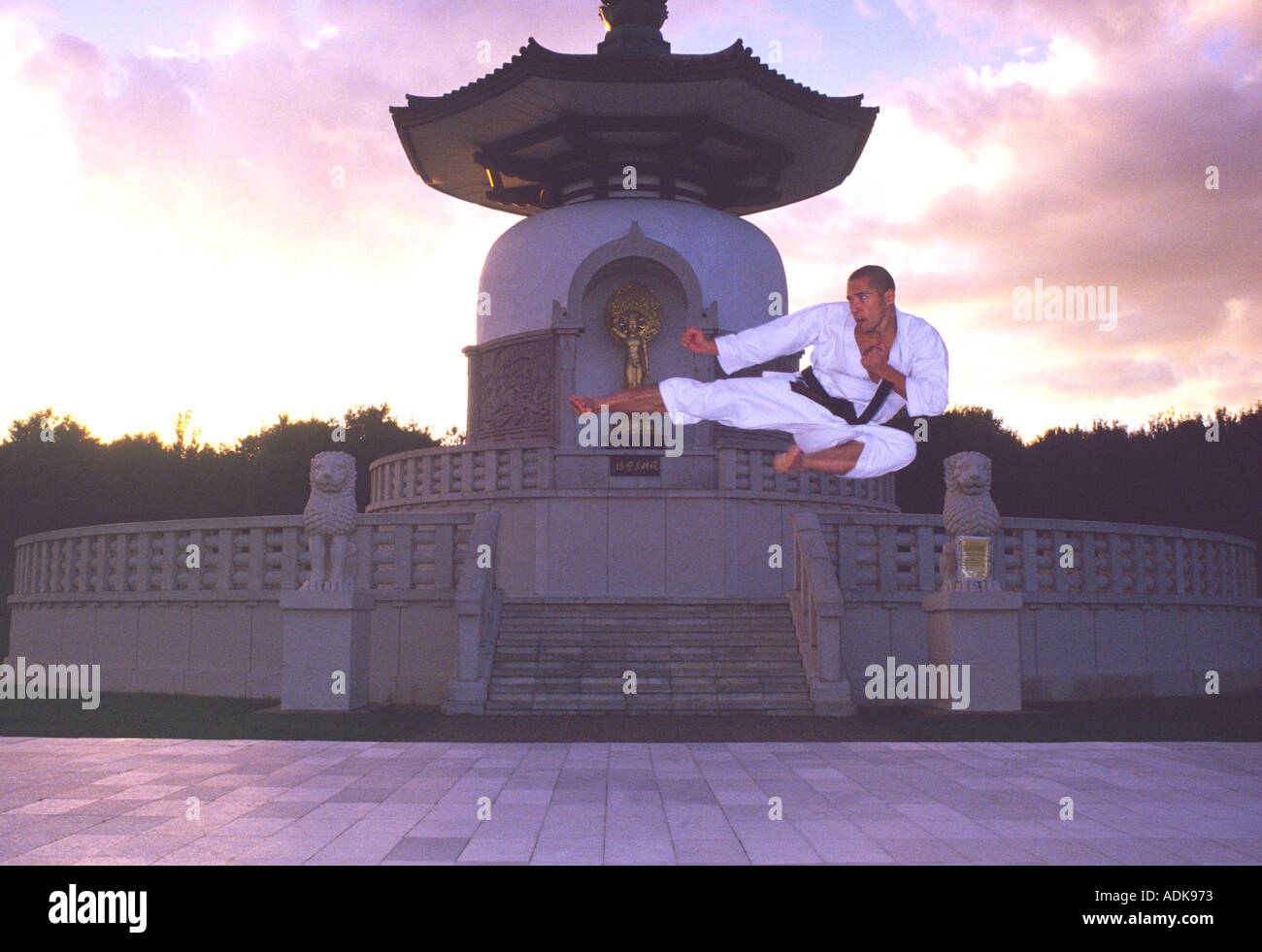 Yoko tobi hi-res stock photography and images - Alamy