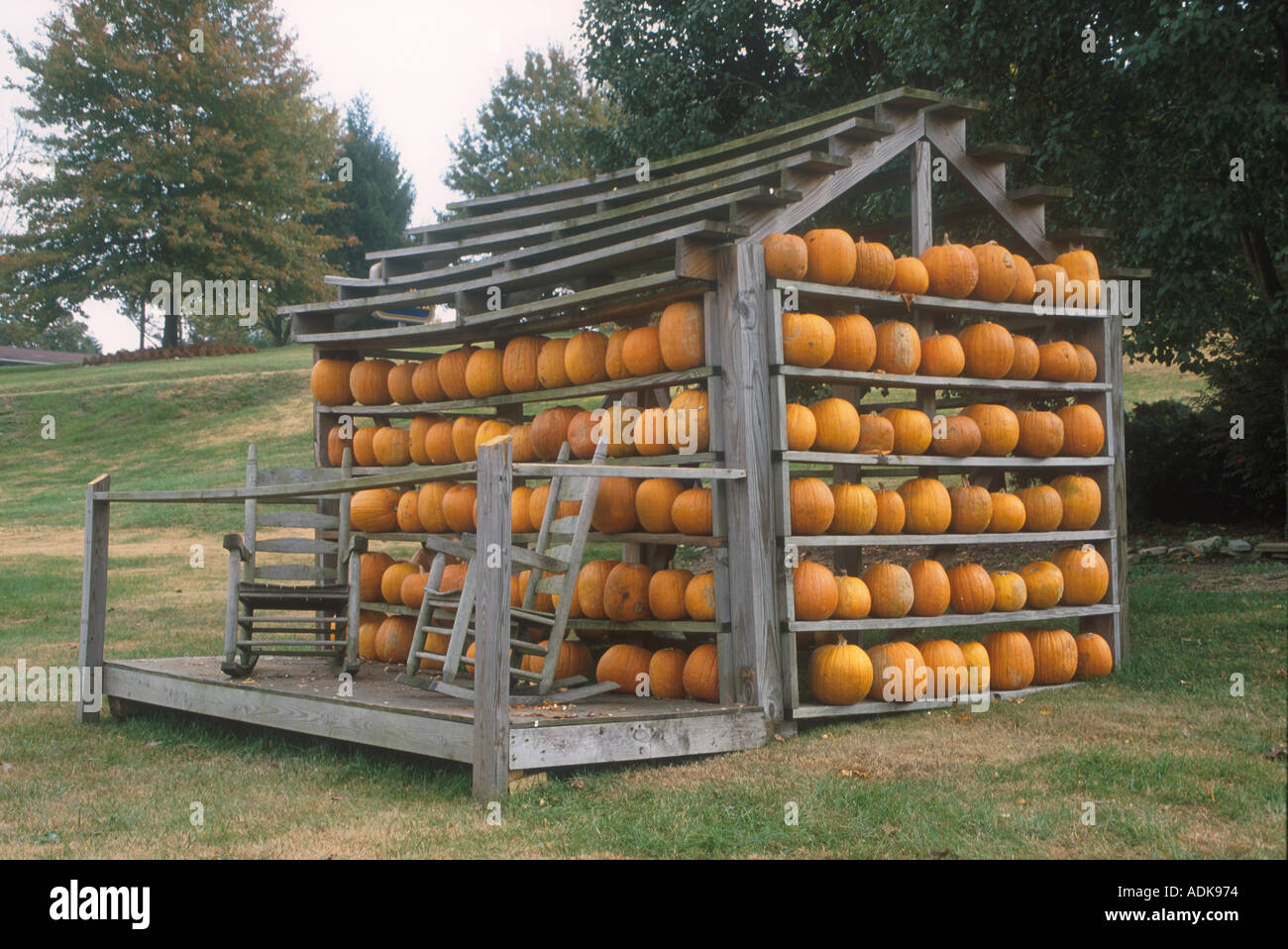 Farming Pumpkin Harvest store Great Smoky Mountains Tennessee USA Stock ...