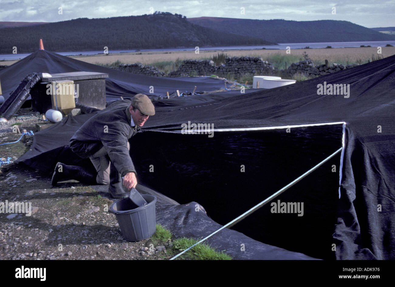Farming Fish Feeding fish by hand at fish farm Stock Photo - Alamy