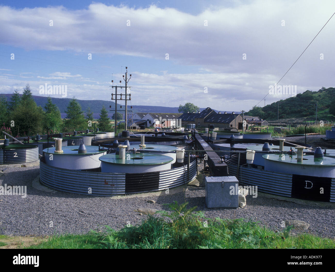 Fish farming tanks hi-res stock photography and images - Alamy